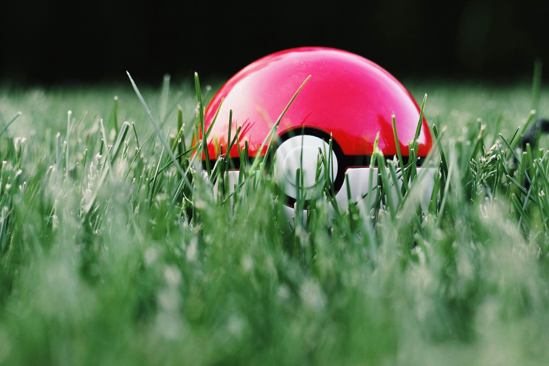 Gear for Playing ‘Pokémon GO’ — Tools and Toys