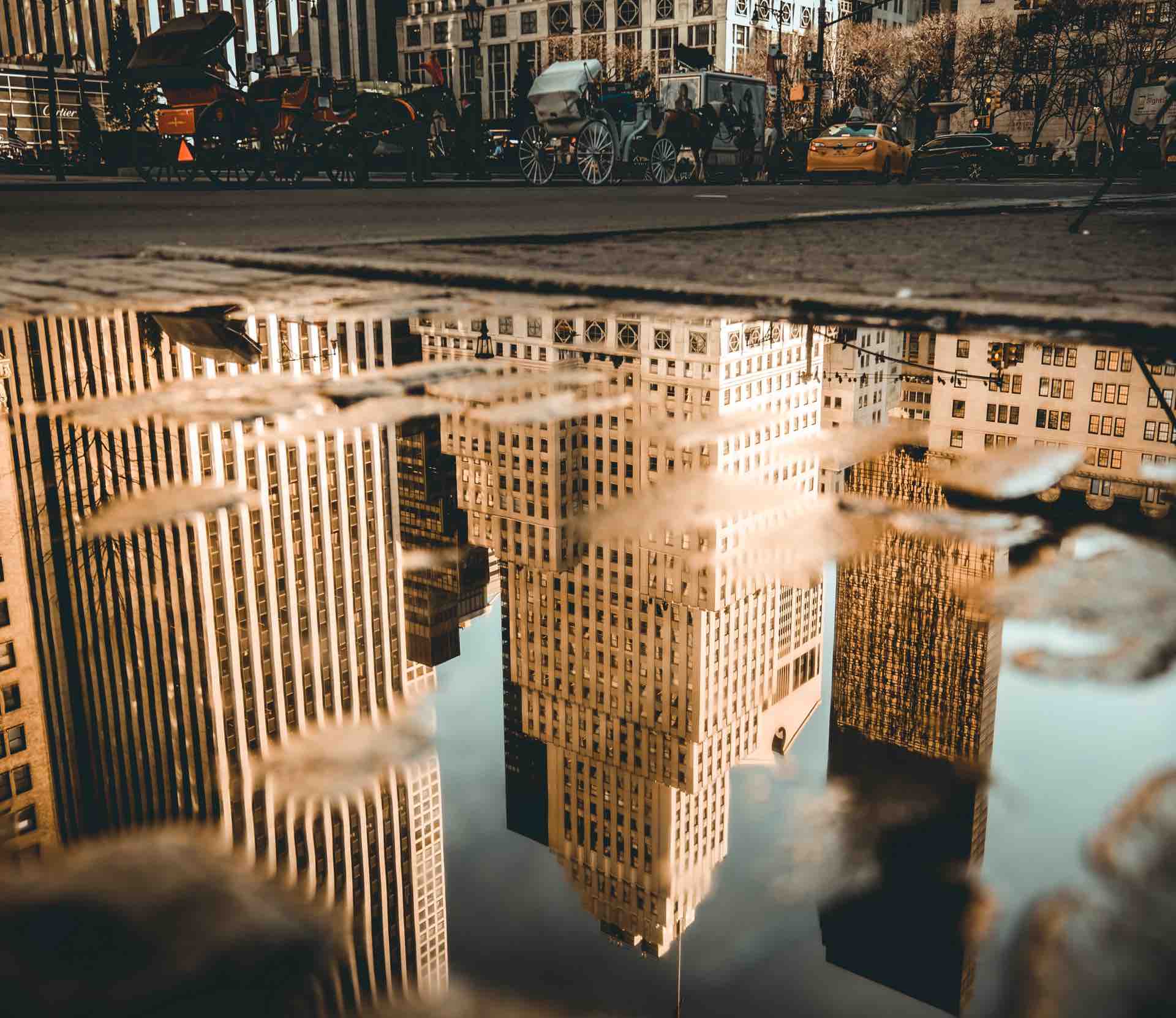 Dragon Paintings, iPad Photography Workflows, and the Passing of Dean ...